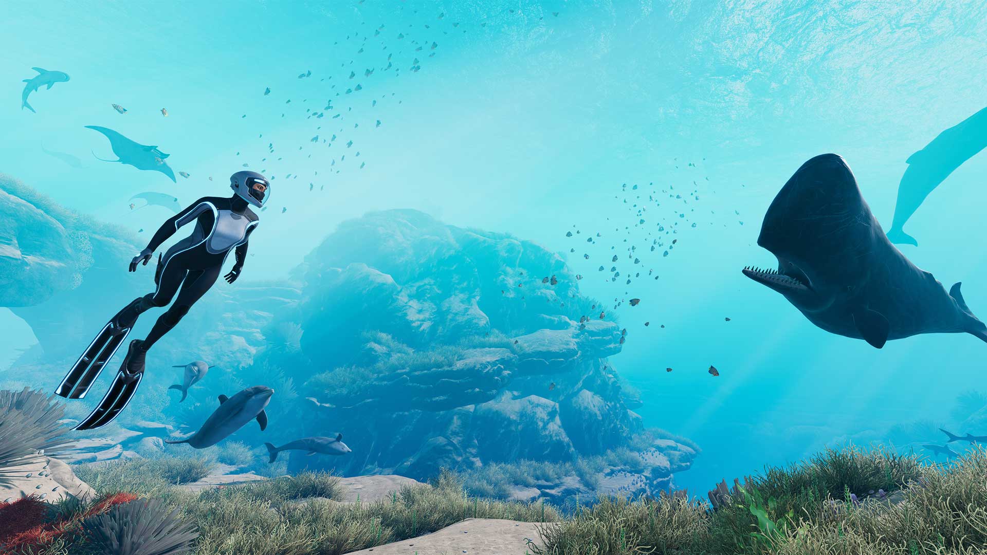 Beyond Blue launches on PC and consoles